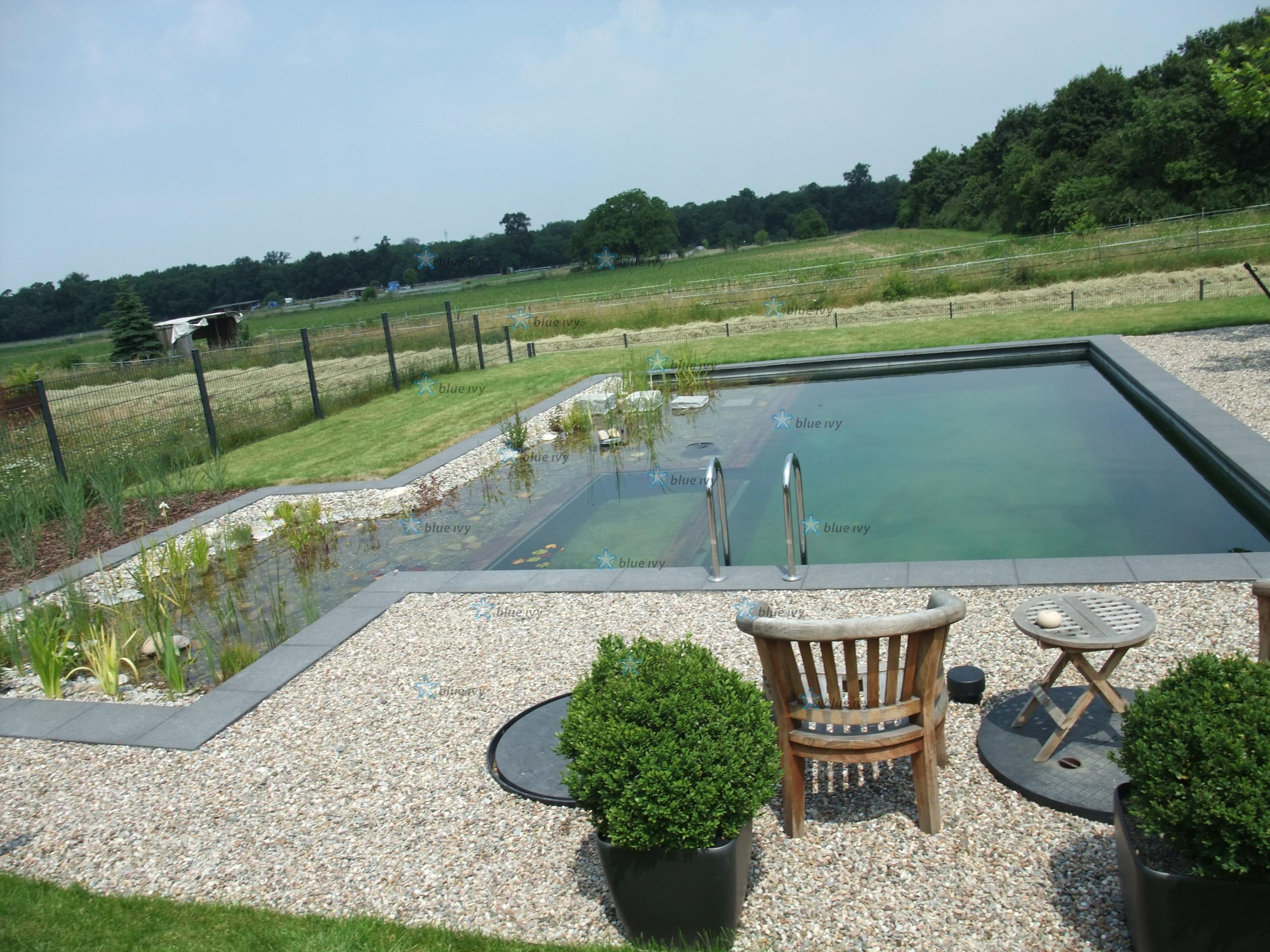 Pool Construction and Installation | Sports Infra – Blue Ivy Inc